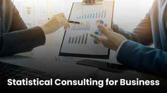 How Statistical Consulting for Business is important?